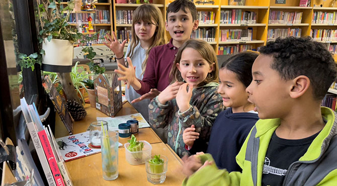 Primary school students join forces with environmental experts to ...